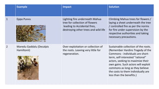 Importance of sustainable scientific harvesting practices of Minor ...