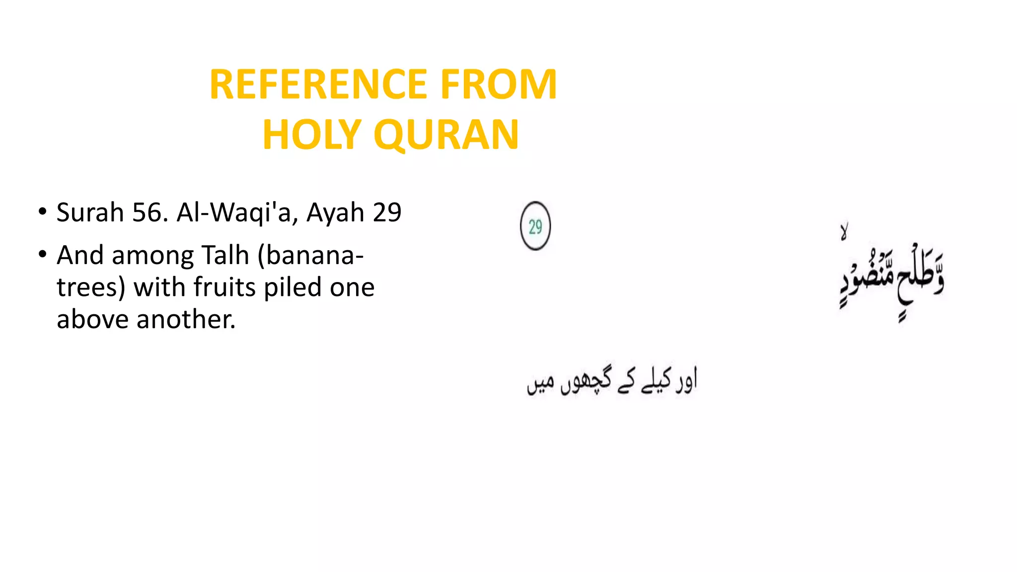 Importance of taxonomy from Holy Quran | PPTX