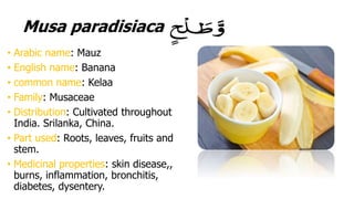 Importance of taxonomy from Holy Quran | PPTX