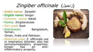 Importance of taxonomy from Holy Quran | PPTX