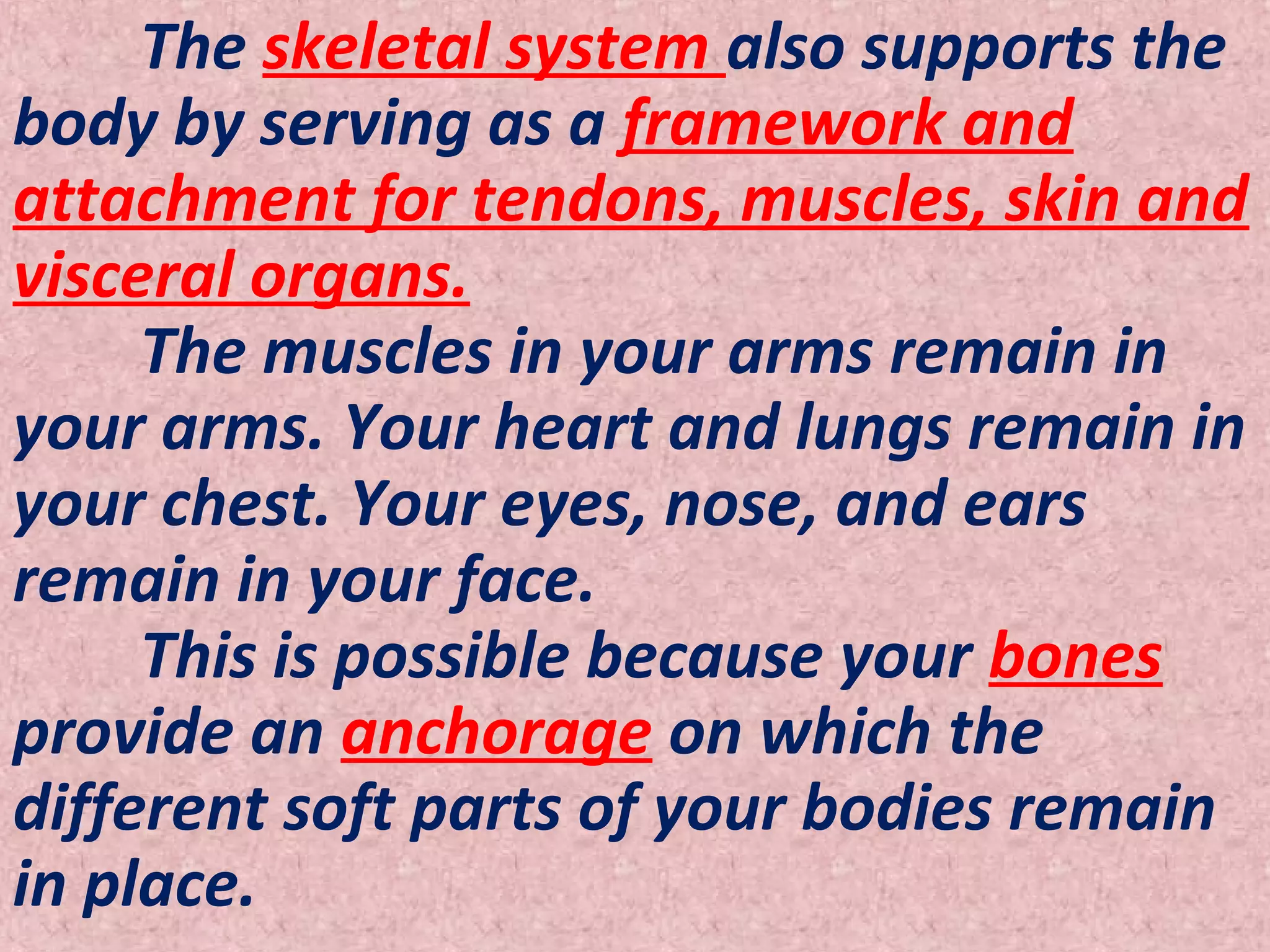 Importance of the skeletal system | PPT