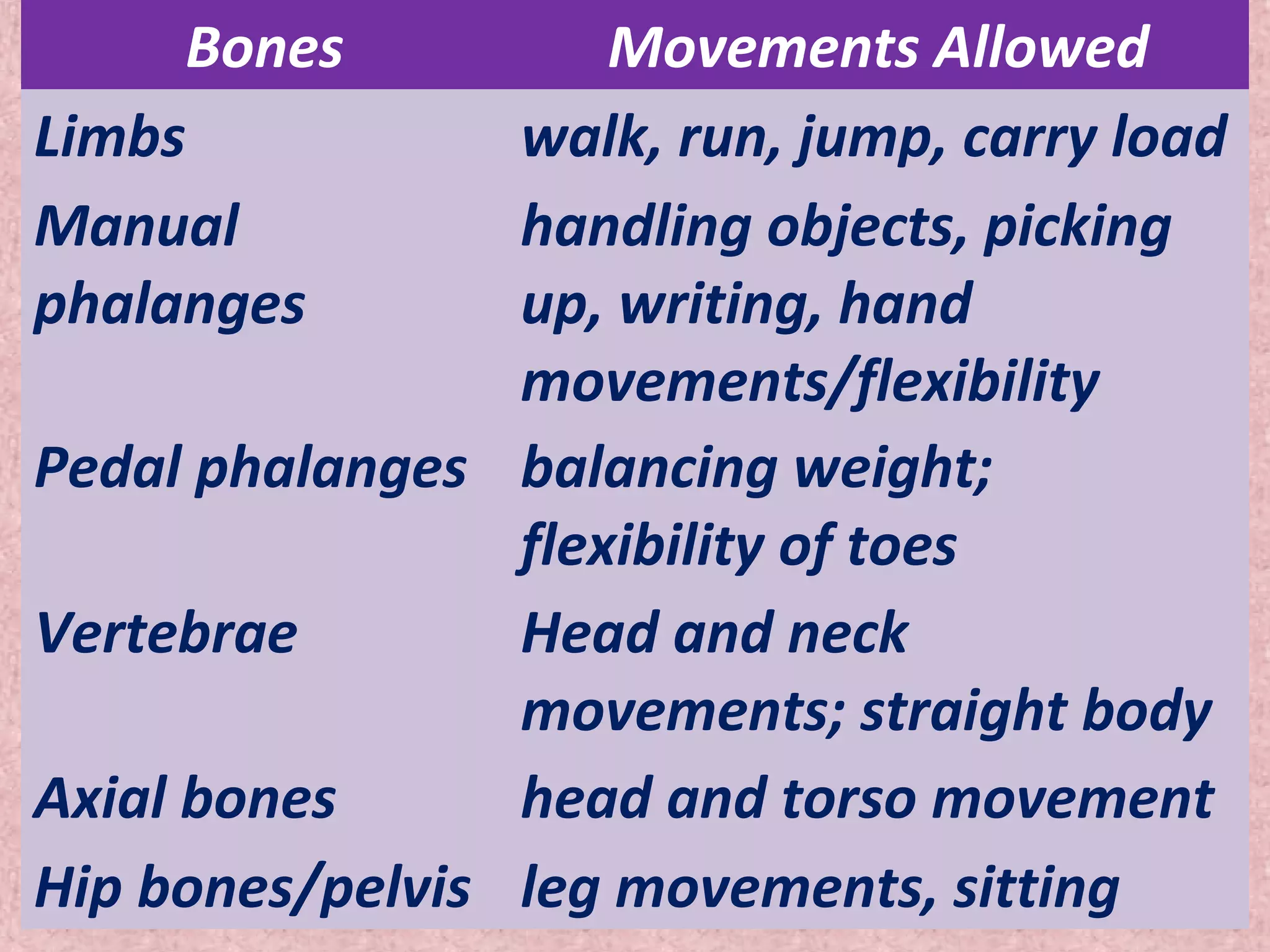 Importance of the skeletal system | PPT