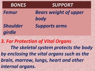 Importance of the skeletal system | PPT