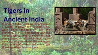 Importance of Tigers In India.pptx