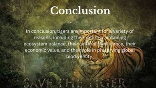 Importance of Tigers In India.pptx