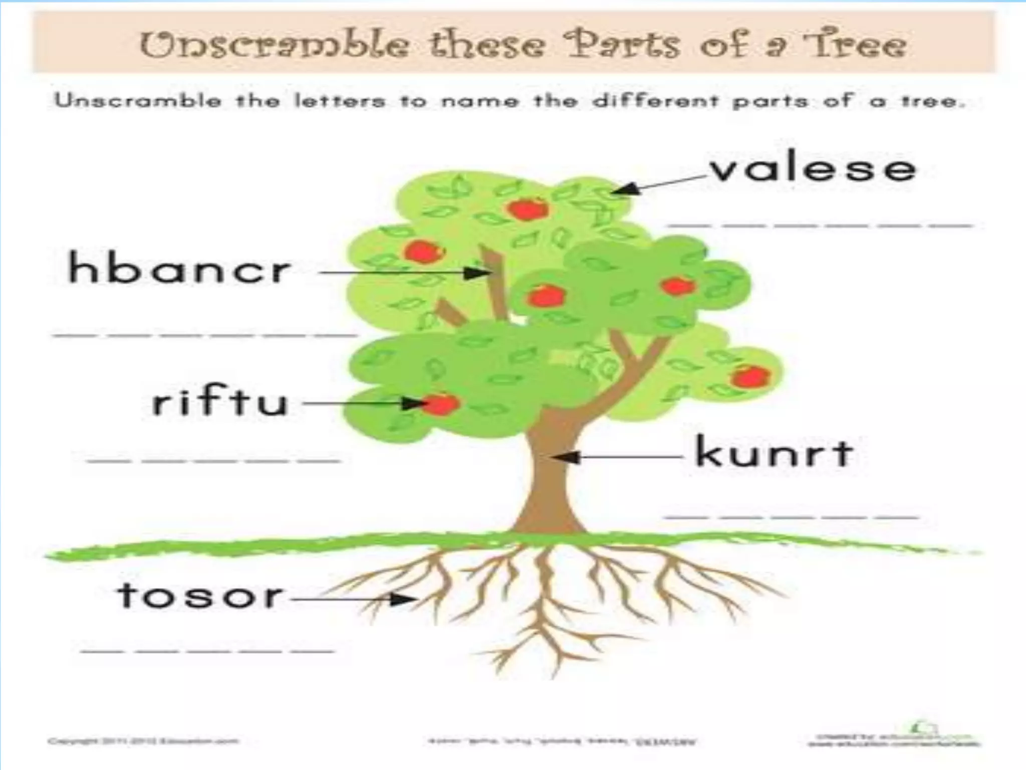Importance of trees | PPTX