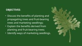 Importance of Trees. (TLE 6 Agriculture) pptx | PPTX