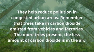 Importance of Trees. (TLE 6 Agriculture) pptx | PPTX