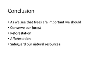 Importance of trees23.pptx