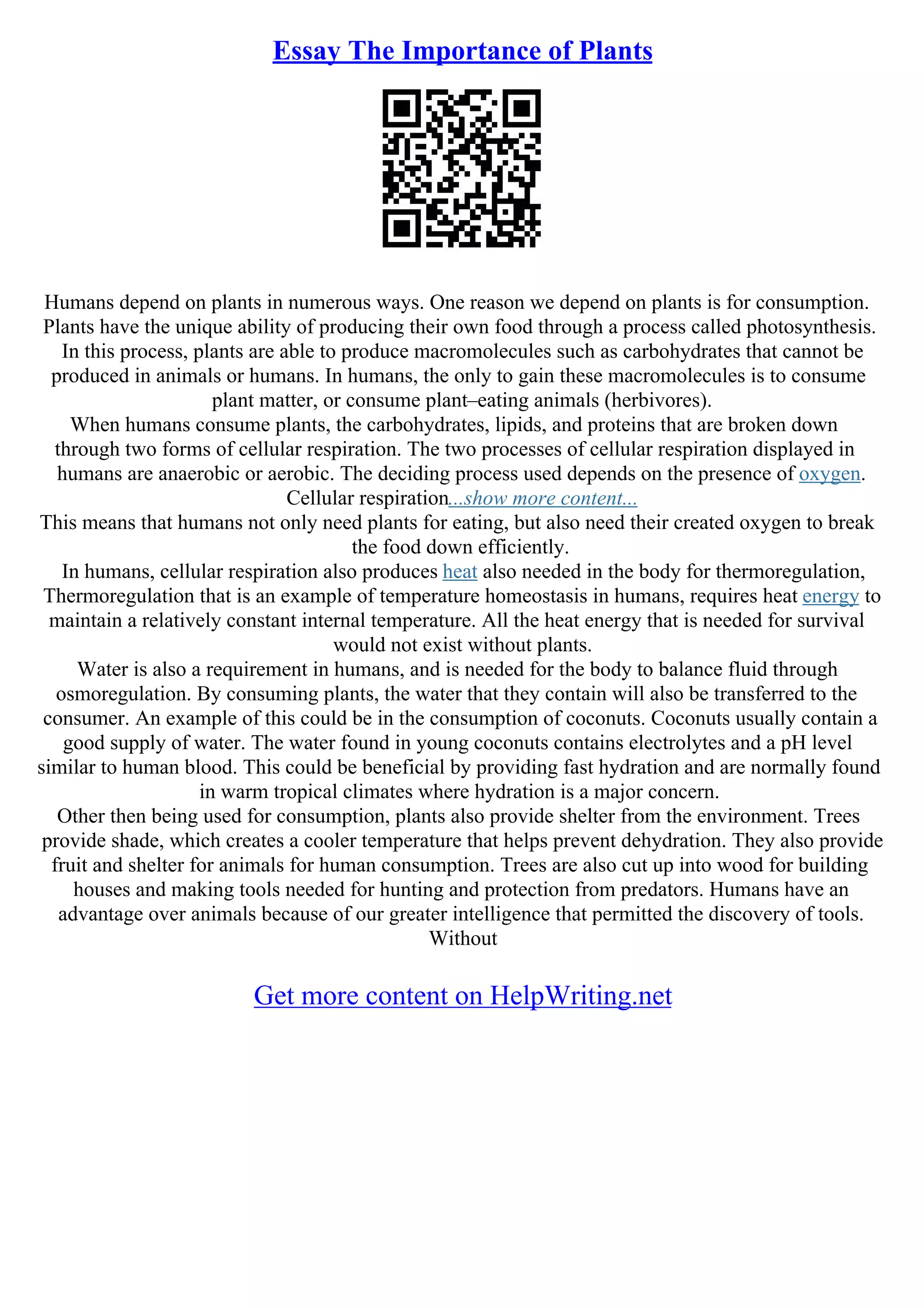 Importance Of Trees Essay | PDF