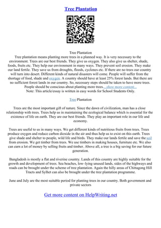 Importance Of Trees Essay | PDF