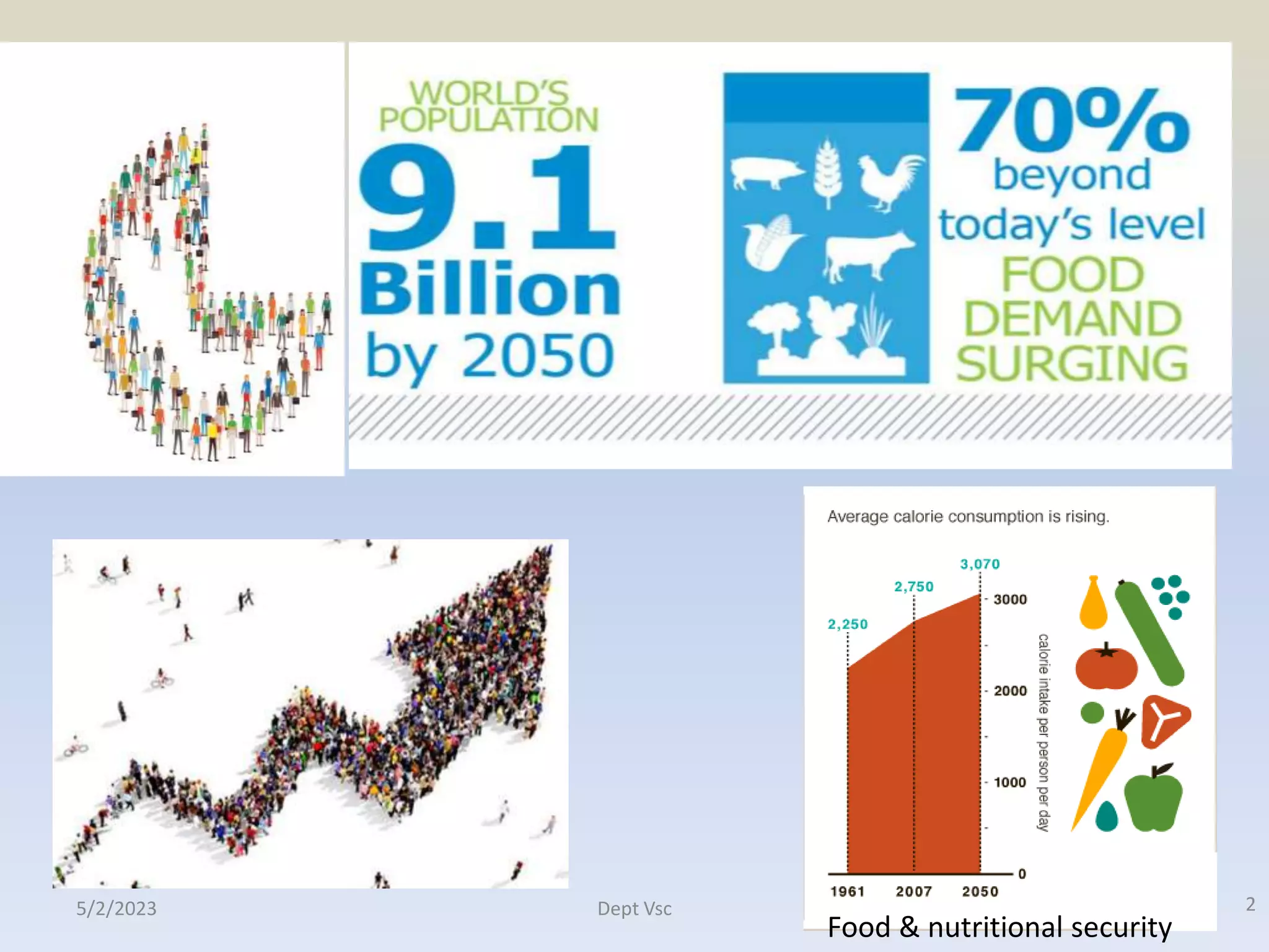 Importance of Tropical tubers in solving global hunger by Pallavi Wani.pptx