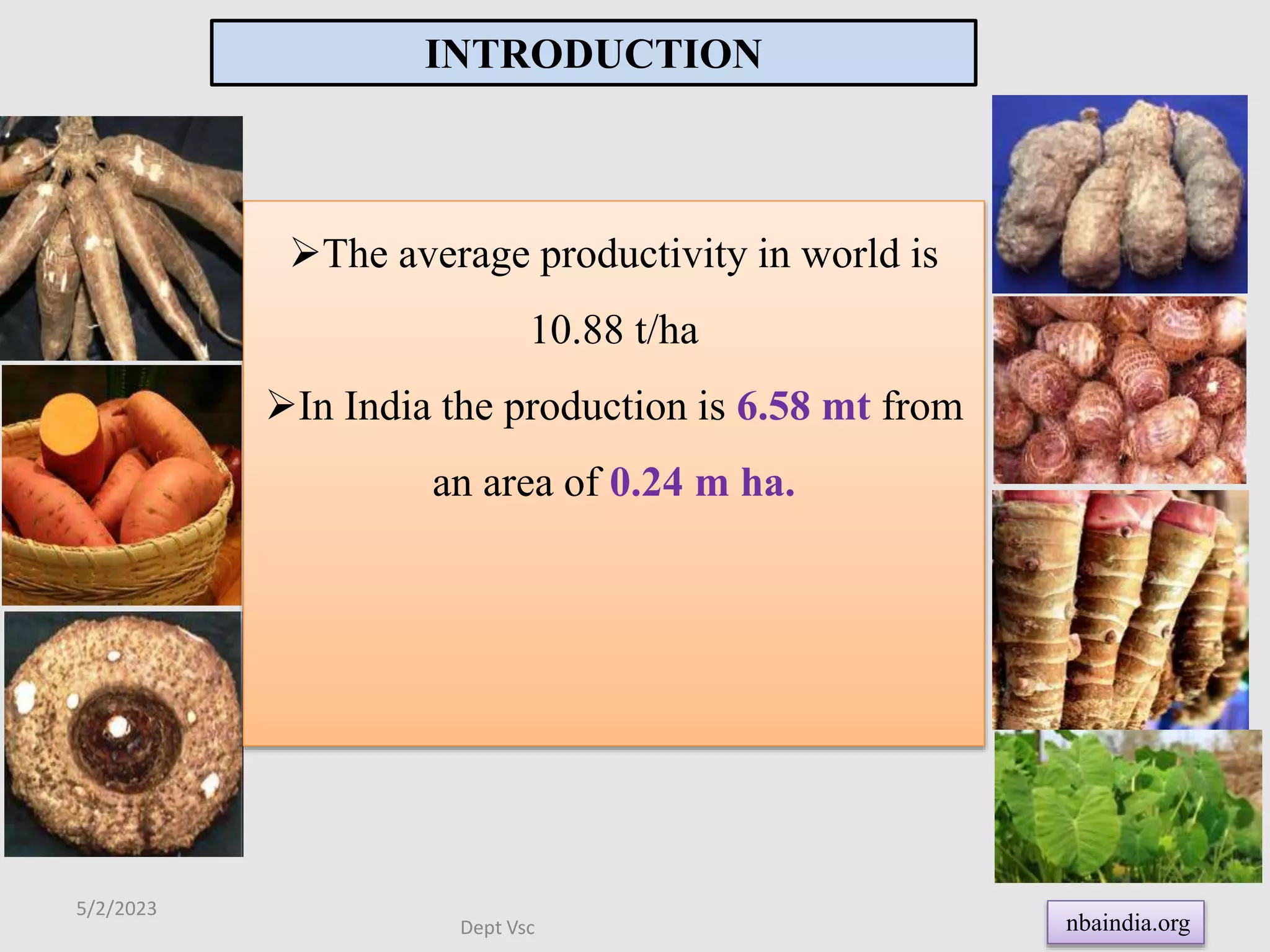 Importance of Tropical tubers in solving global hunger by Pallavi Wani.pptx