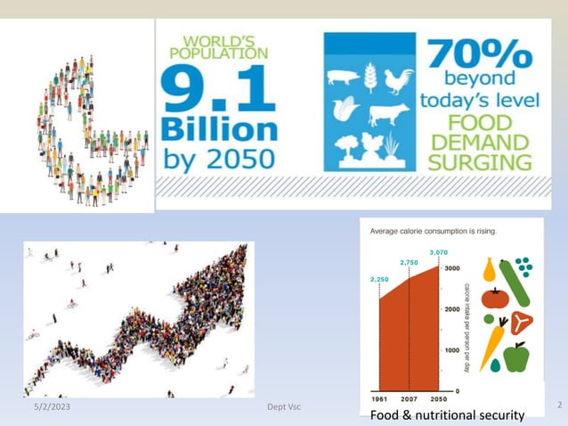 Importance of Tropical tubers in solving global hunger by Pallavi Wani.pptx