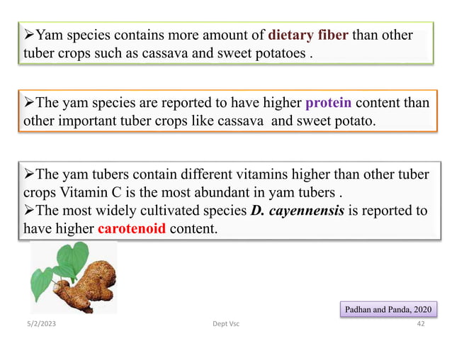 Importance of Tropical tubers in solving global hunger by Pallavi Wani.pptx