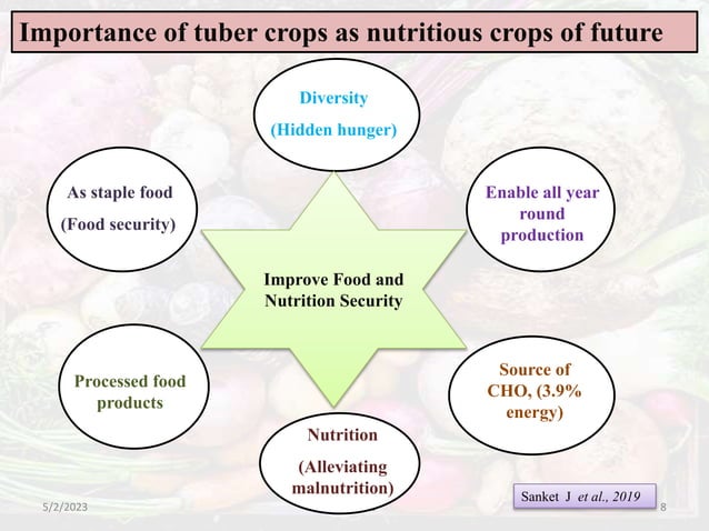 Importance of Tropical tubers in solving global hunger by Pallavi Wani.pptx