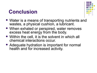 Importance of water to human beings | PPT