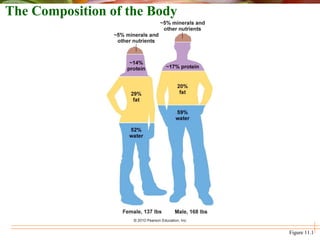 Importance of water to human beings | PPT