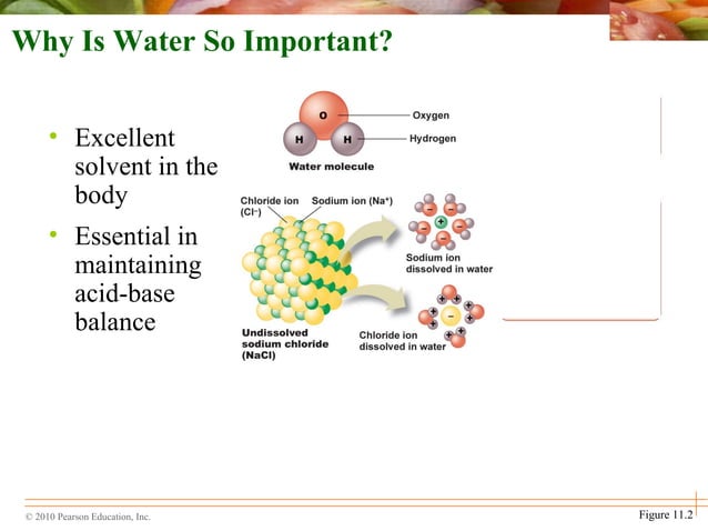 Importance of water to human beings | PPT | Digestive Disorders ...