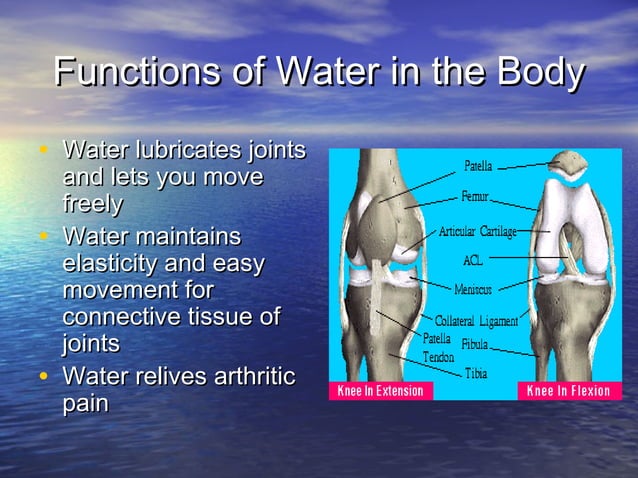 Importance of water to human beings | PPT | Digestive Disorders ...