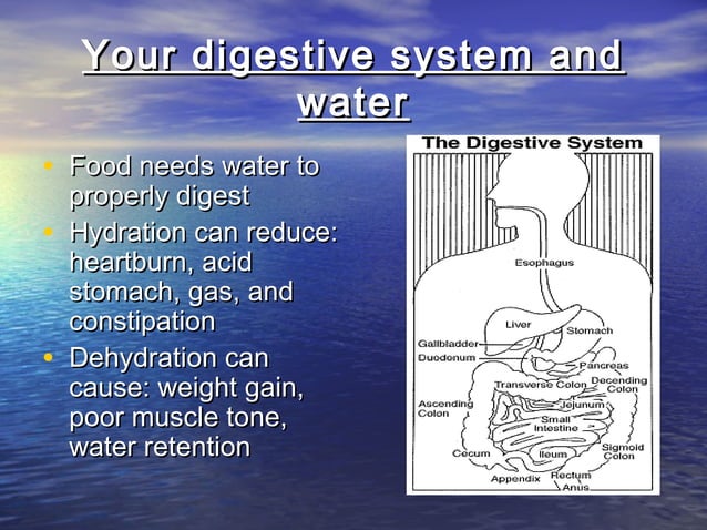 Importance of water to human beings | PPT | Digestive Disorders ...