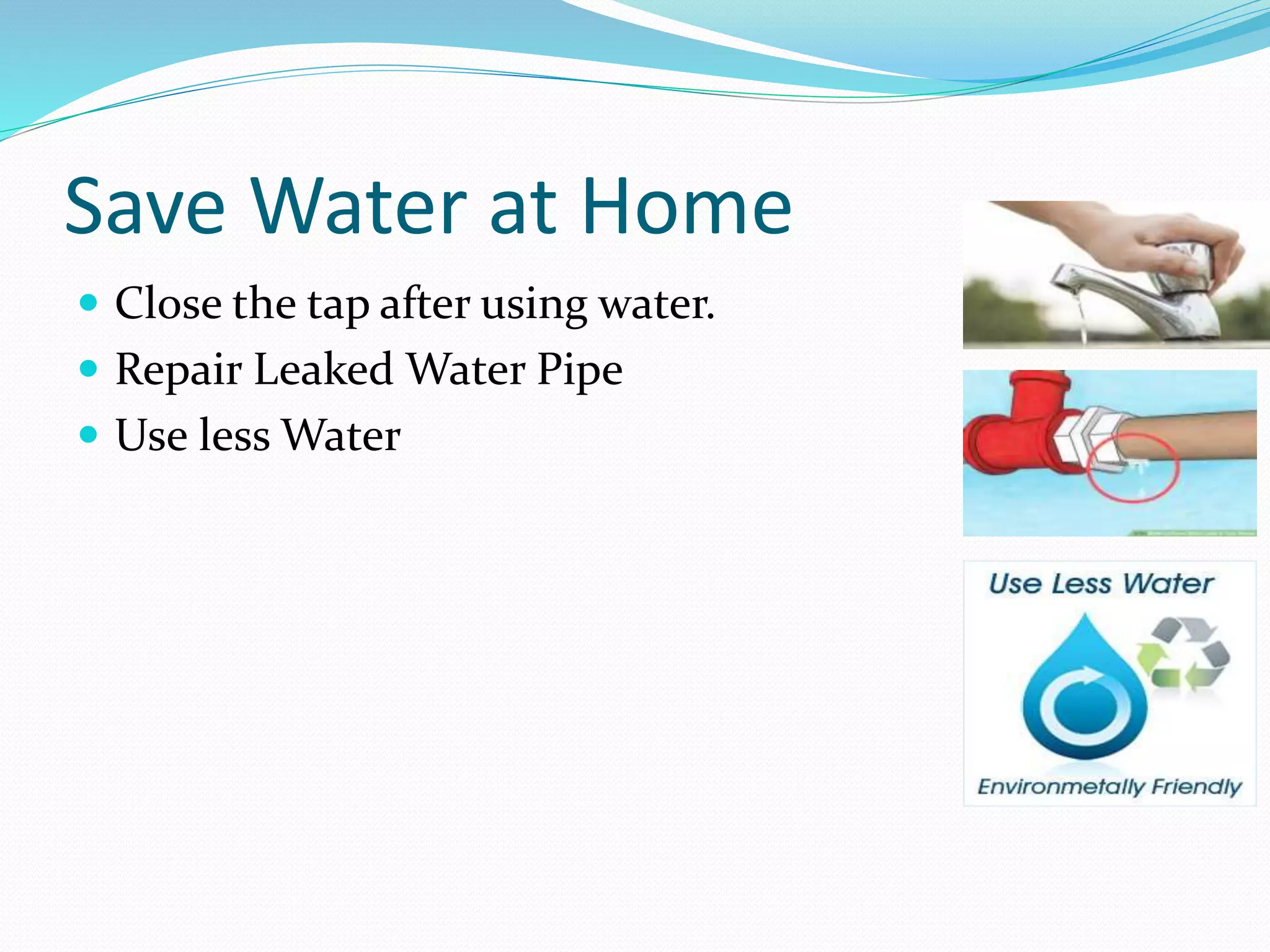Importance of water | PPTX