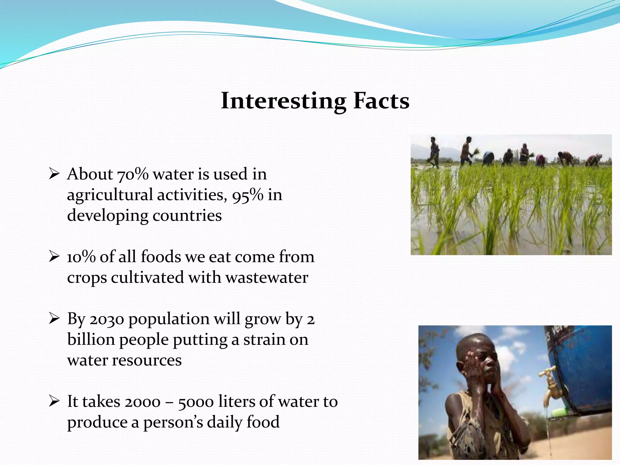 Importance of water | PPTX