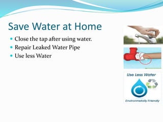 Importance of water | PPTX