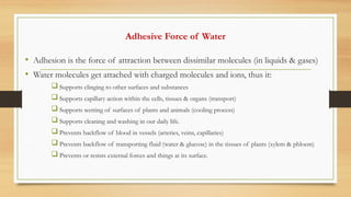Importance of Water in daily life and overall.pptx