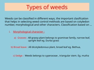 Importance of weed management and types of weeds.pptx