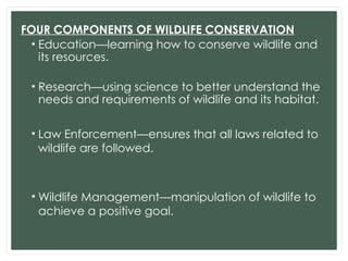 IMPORTANCE OF WILDLIFE.ppt maintain the ecosystem | PPT