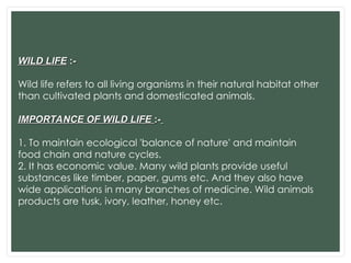 IMPORTANCE OF WILDLIFE.ppt maintain the ecosystem | PPT