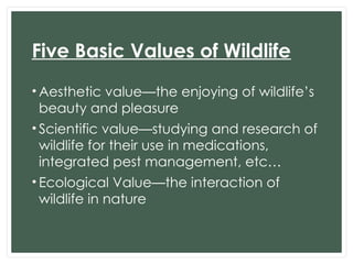 IMPORTANCE OF WILDLIFE.ppt maintain the ecosystem | PPT