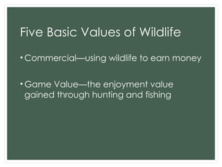 IMPORTANCE OF WILDLIFE.ppt maintain the ecosystem | PPT