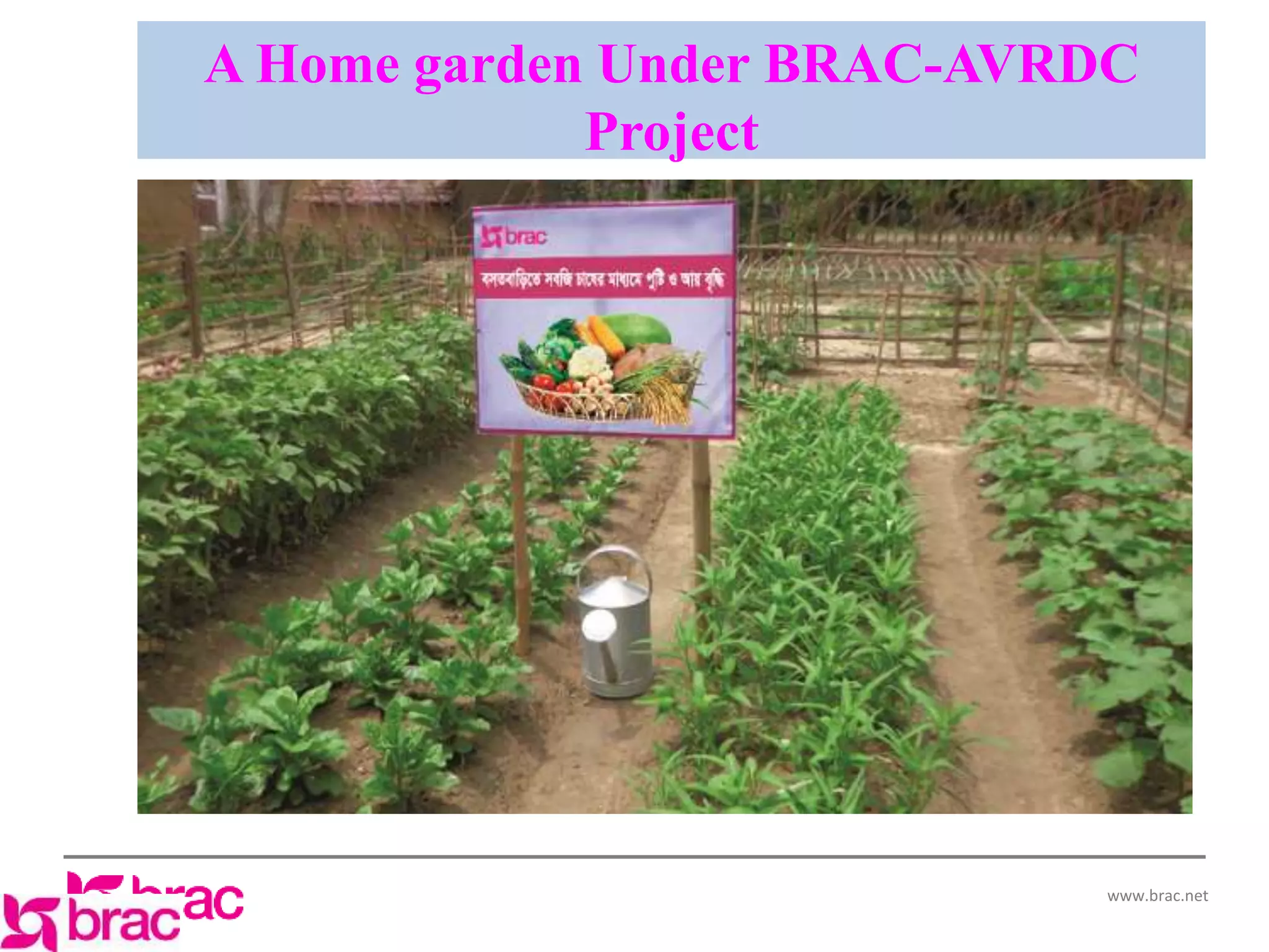 Importance of women entrepreneurship in small scale seed production for ...