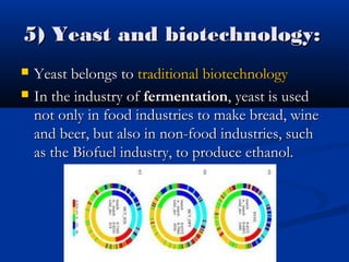 Importance of yeast | PPT