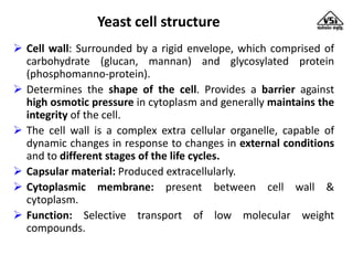 Importance of yeast for alcoholic fermentation | PPTX