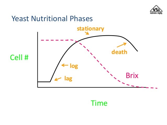Importance of yeast for alcoholic fermentation