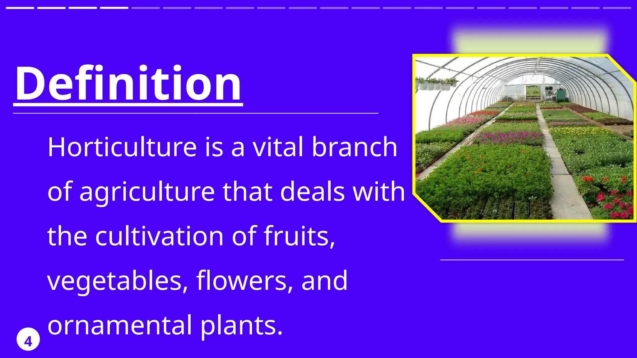 Importance and Scope of Horticulture.pptx