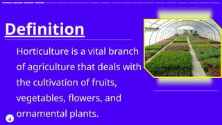 Importance and Scope of Horticulture.pptx