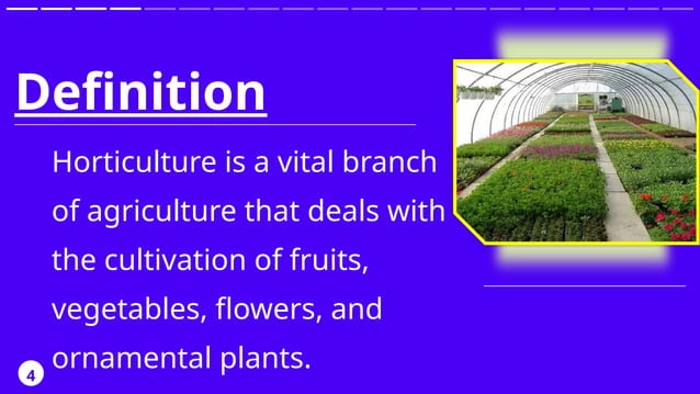 Importance and Scope of Horticulture.pptx