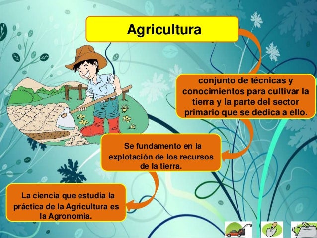 Importancia De Agricultura
