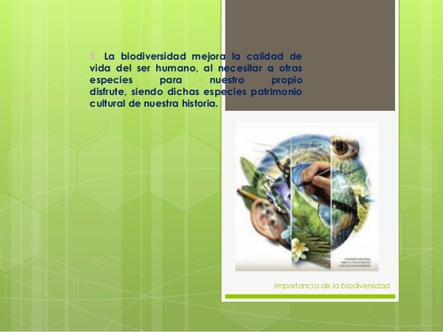 Importancia De La Biodiversidad