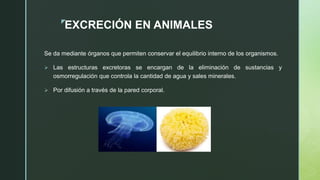 IMPORTANCIA DE LA EXCRECIÓN EN PLANTAS Y ANIMALES.pptx