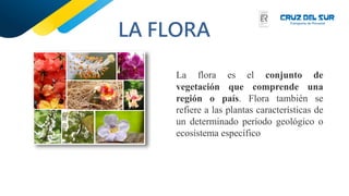 IMPORTANCIA DE LA FLORA Y FAUNA - medio ambiente | PPTX