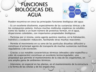 Importancia del agua | PPTX
