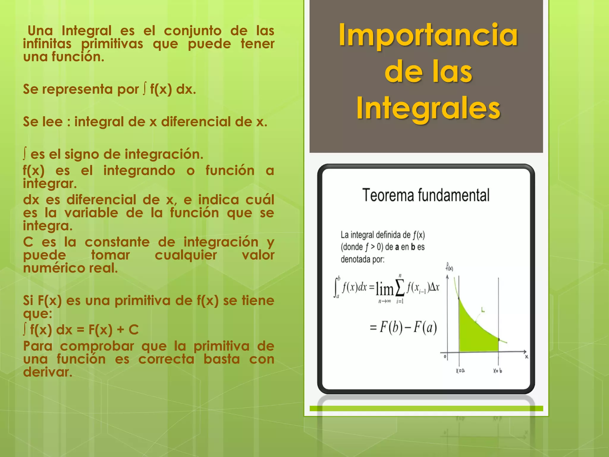 Importancia de las integrales | PDF
