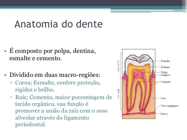 Importancia do preparo apical