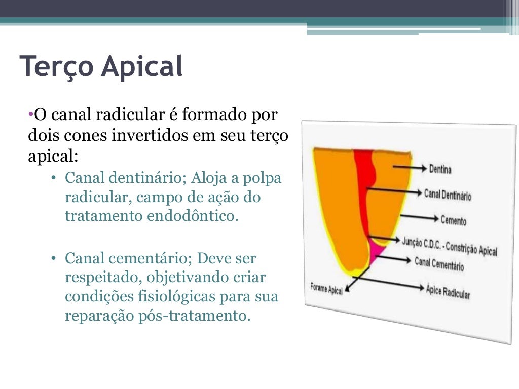 Importancia do preparo apical
