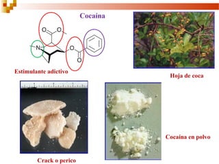 Importancia quimica organica grupo funcionales | PPT